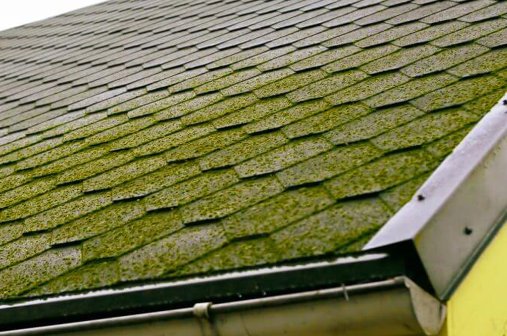 Top 10 Basic Roof Repair Ideas | Ebhosworks